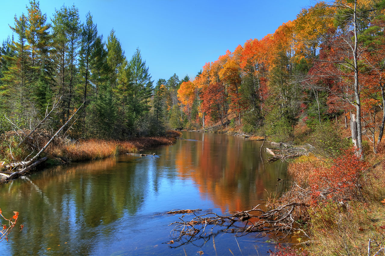 AuSable River | Marj Esch